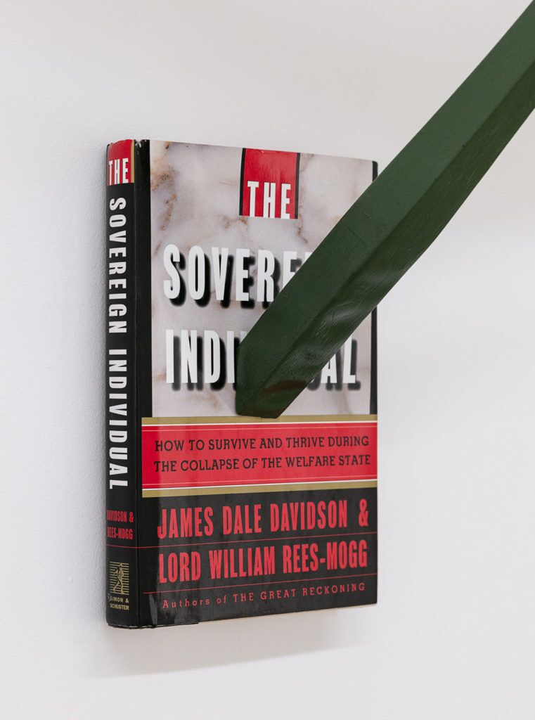 The Sovereign Individual (book) – Elisabetta Benassi