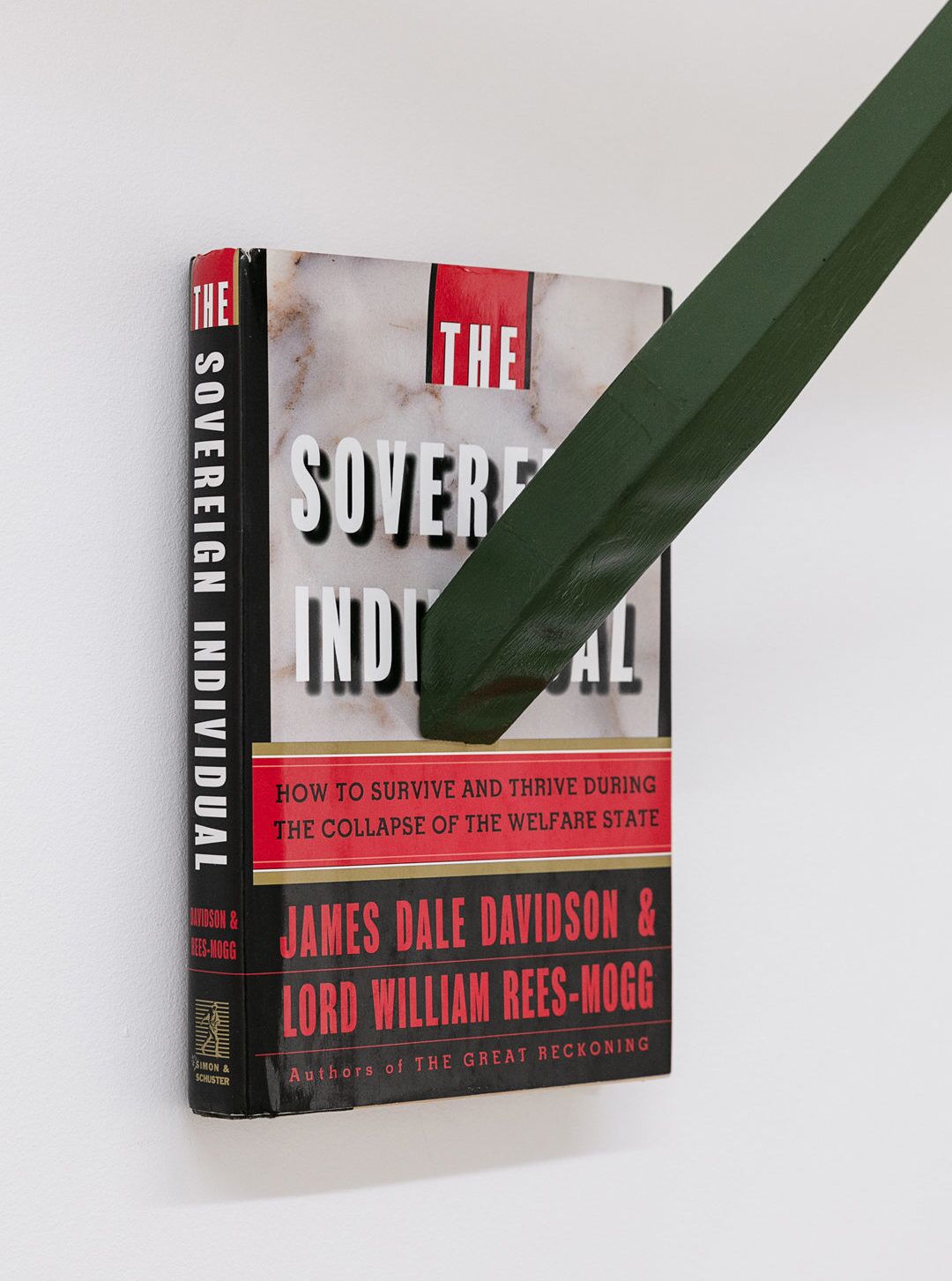 The Sovereign Individual (book) – Elisabetta Benassi